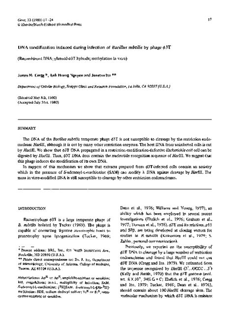Pdf Dna Modification Induced During Infection Of Bacillus Subtilis By