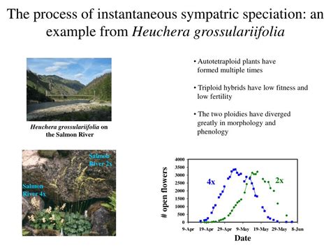 PPT Speciation PowerPoint Presentation Free Download ID 3096322