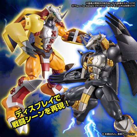 Figure Rise Standard Blackwargreymon Model Kit In August With The