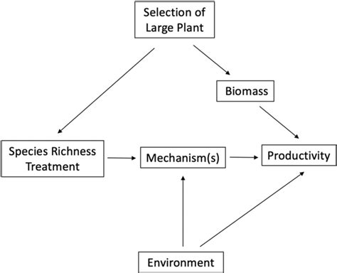 Simplified Directed Acyclic Graph Representing Confounding Bias In A Download Scientific