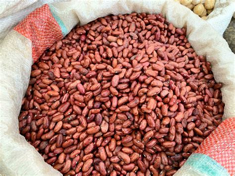 Dry Beans Nelion Investments Consult Ltd