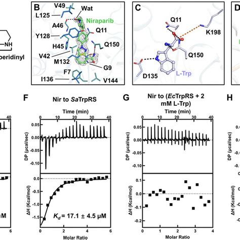 The Binding Mode And Selectivity Of Niraparib To Bacterial Trprs A