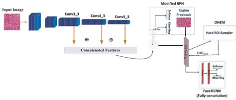 The Schematic Diagram Of The Proposed Ms Rcnn Model With Multi Scale