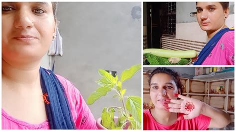 Aaj Laga Diya Tulsi Ka Podha Bhai Ki Pashand Youtube