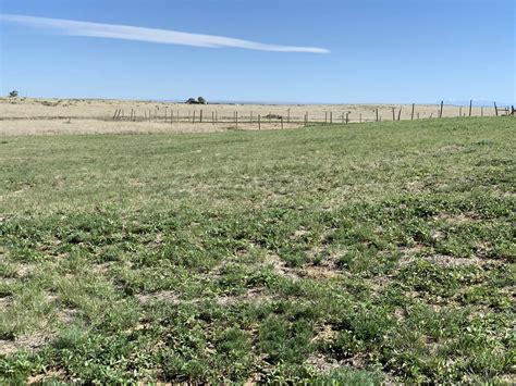 Mag Mell Of Hanover Hipcamp In Colorado Springs Colorado