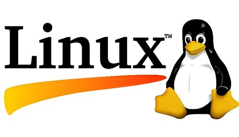 Linux环境下实现多进程socket通信功能详解linux Socket通信 Csdn博客