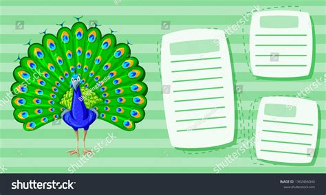 Peacock On Note Template Illustration Stock Vector Royalty Free