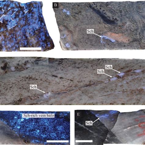 Pdf The Watershed Tungsten Deposit Northeast Queensland Australia