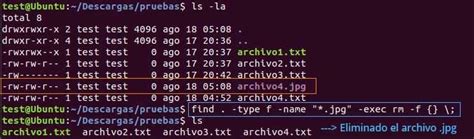 Cómo Buscar Con El Comando Find En Linux El Taller Del Bit