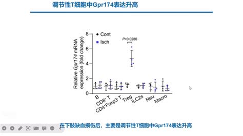 Chc 2023：内皮细胞代谢与心血管修复 Medscicn