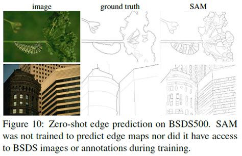 paper reading：sam and fastsam and mobilesam 的简单介绍 mobilesam resnet csdn博客