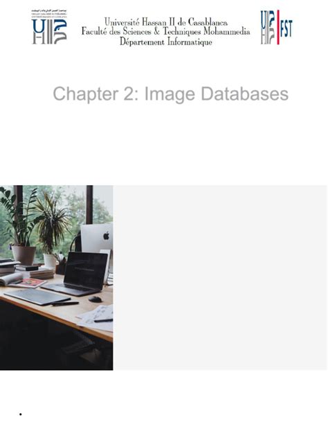 Chapter2 Pdf Databases Information Retrieval
