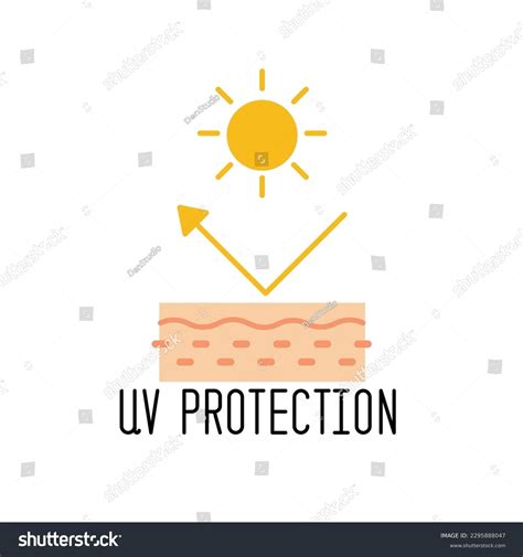 Uv Reflection Skin After Protection Skin Stock Vector Royalty Free