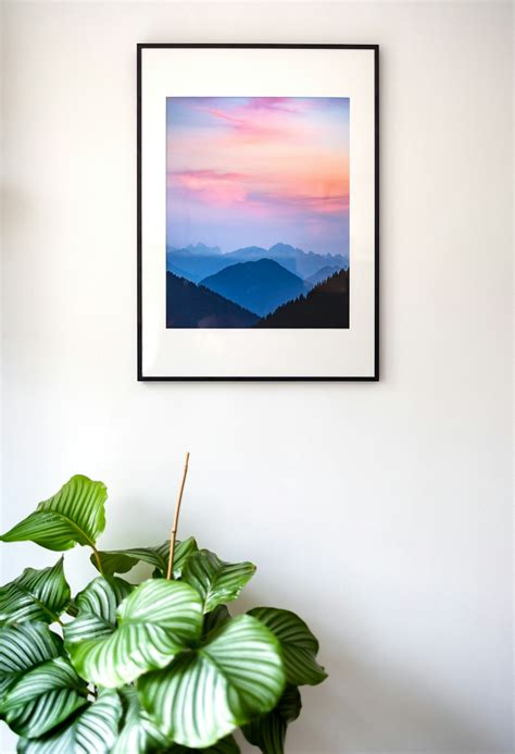 화분 위 벽에 걸려 있는 그림 사진 Unsplash의 무료 네덜란드 이미지