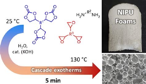 Rapid Production Of Isocyanate Free Biobased Polyurethane Foams At Ambient Temperature Groupe