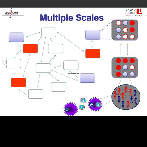 Tatiana Krikella Will Help To Develop “multi Scale Estimation Methods For Infectious Disease