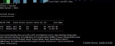 raid级别介绍，storcli64，sas3ircu系统下做raid工具使用。 csdn博客