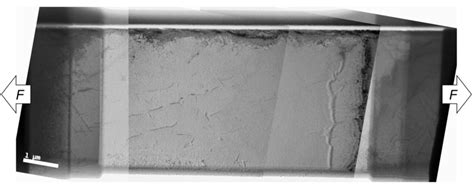 Direct Observation Of Dislocation Plasticity In Hea By In Situ Tem