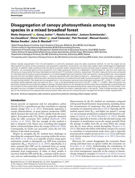 Pdf Disaggregation Of Canopy Photosynthesis Among Tree Species In A