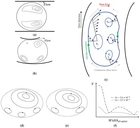 The Physics And Manipulation Of Dean Vortices In Single And Two Phase Flow In Curved