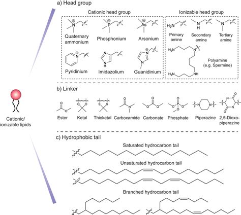Chemical Structures Of Cationicionizable Lipids Categorized Based On