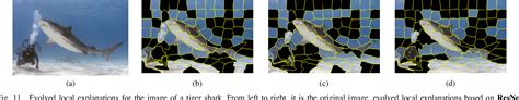 explaining deep convolutional neural networks for image classification