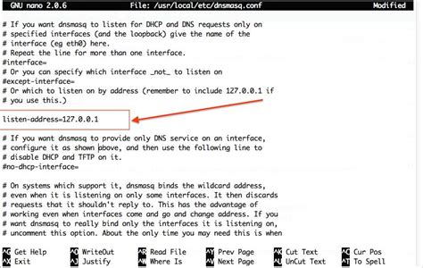 how to setup and configure dnsmasq for local development environment
