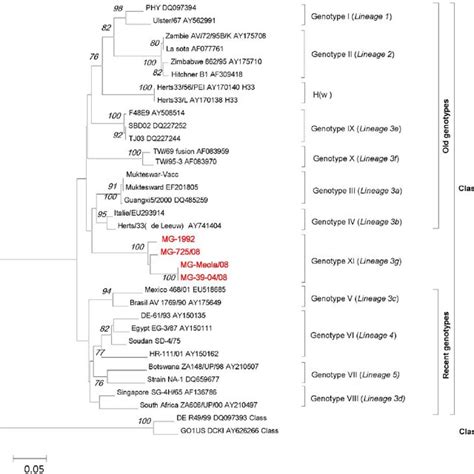 Phylogenetic Tree Unrooted Of Nucleotide Sequences Based On A 374 Nt Download Scientific