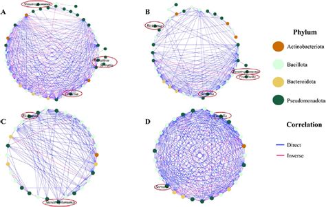 Complex Correlations Between Different Bacterial Genera In Ticks Download Scientific Diagram