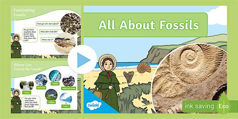 All About Fossils PowerPoint Teacher Made Twinkl