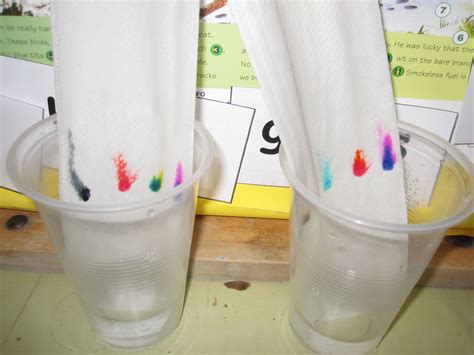 Science Projects Chromatography Second Class