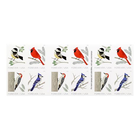 2018 Us First Class Forever Stamp Birds In Winter Buy Postage Forever Stamps Online