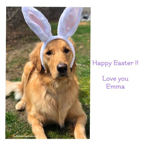 Alessandra Kellermann Posted On Linkedin