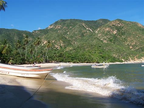 Choroní Selva Y Playa