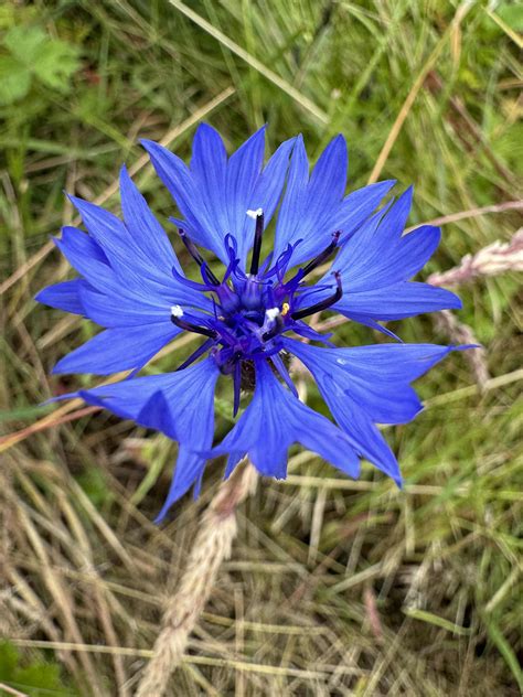 Roucan Loch Crematorium Dumfries