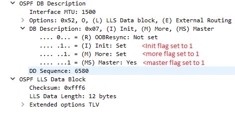 OSPF Database Description Packets The Traceroute Blog
