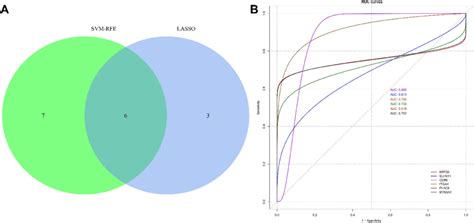 A Venn Diagram Of Overlapped Degs Obtained Via Lasso And Svm Ref Download Scientific Diagram