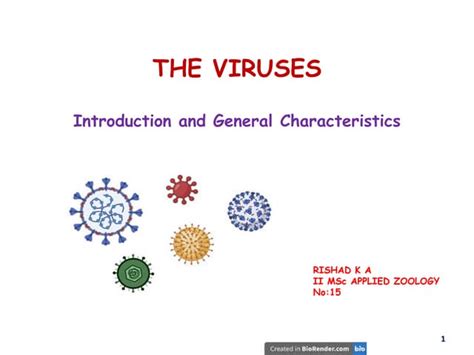Baltimore Classification Of Viruses Presentation Pptx