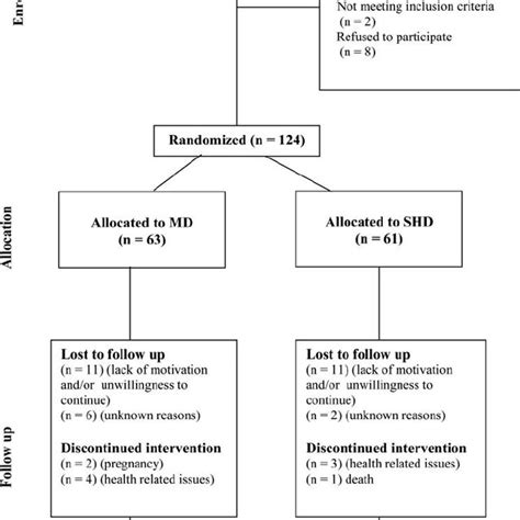Study Work Plan With Associated Randomization Chart Download