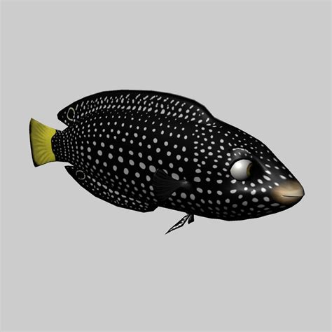 3d 카툰 바다 생물 팩 로우 폴리곤 3d 모델 30 3ds Obj Fbx Ma Unknown Free3d