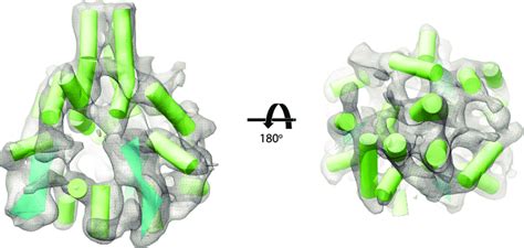 Secondary Structure Elements In The Base Domain Secondary Structure
