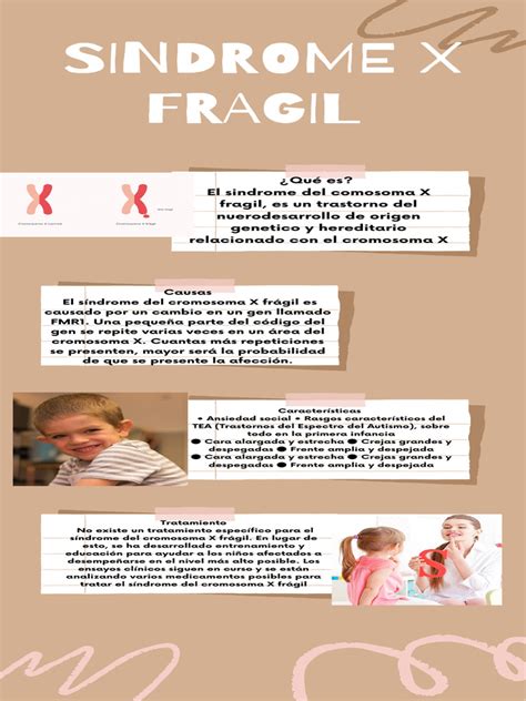 Síndrome X Frágil Causas Y Características Pdf