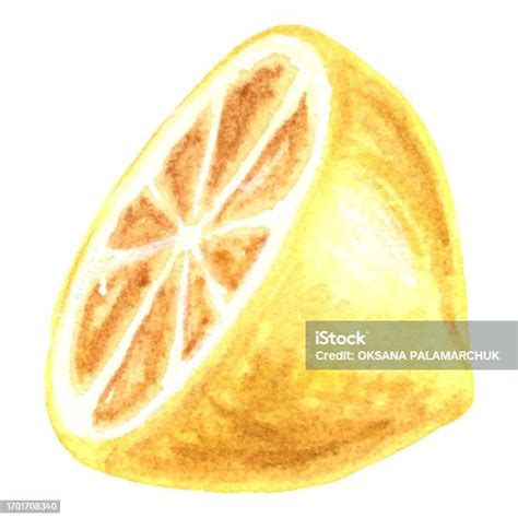 레몬 익은 육즙이 많은 노란색 수채화 그림의 절반은 디자인 스티커 패턴 포장 카드 직물 자수를 위해 흰색 배경에 분리되어