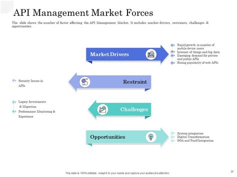 Application Interface Management Market Powerpoint Presentation Slides Presentation Graphics