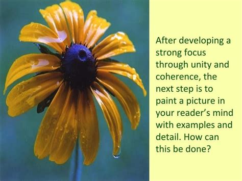 Unity Coherence Development 1 Ppt