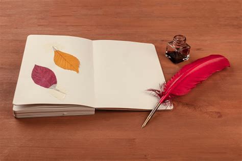 식물 전표입니다 활기찬가 함께 오픈 노트북 나뭇잎 잉크 잘 그리고 퀼 텍스트에 대 한 장소 어두운 나무 테이블에 가을에 대한 스톡 사진 및 기타 이미지 Istock