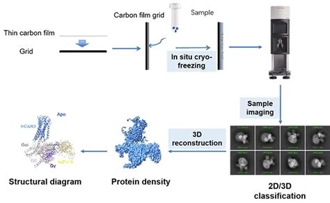 Qubit Assay Tube Secure And Reliable Sample Containers