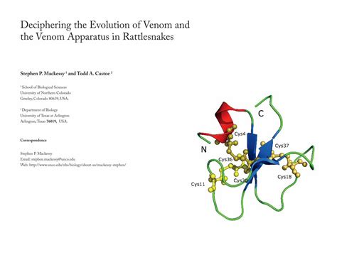 pdf deciphering the evolution of venom and the venom apparatus