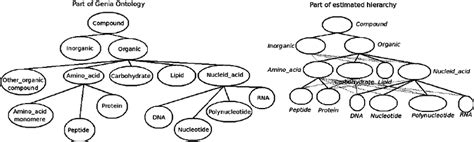 Part Of The Genia Ontology On The Left And Part Of The Estimated