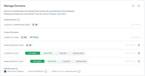 Fix Issues With Connecting A Custom Domain To Elementor Host Elementor
